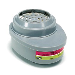 Multigas and P100 Cartridge for MSA Masks, 2/pkg 815366 | Proudly ...